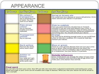 urine examination. | PPTX