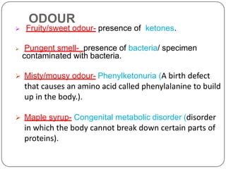 urine examination. | PPTX