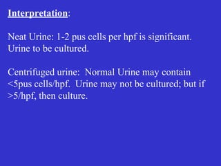 URINE EXAMINATION.docxURINE EXAMINATION.docx