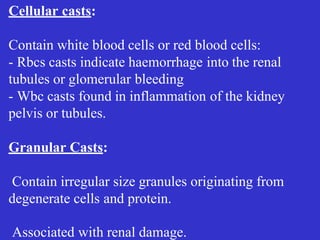 URINE EXAMINATION.docxURINE EXAMINATION.docx