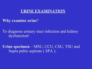 URINE EXAMINATION.docxURINE EXAMINATION.docx