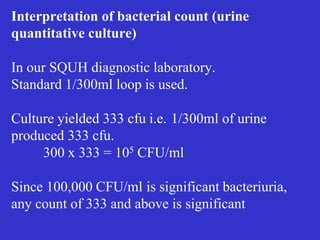 URINE EXAMINATION.docxURINE EXAMINATION.docx