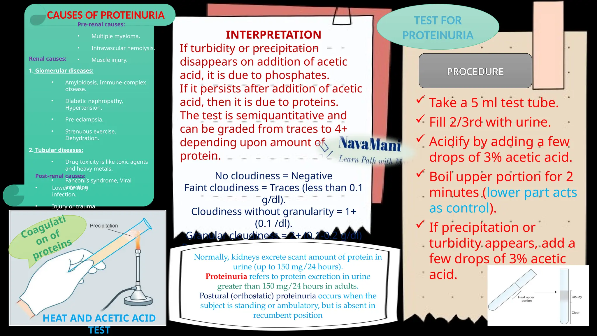 URINE EXAMINATION FOR PRACTICAL EXAM.pptx