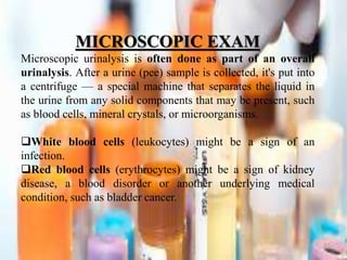 URINE EXAMINATION- overview (2).pptx