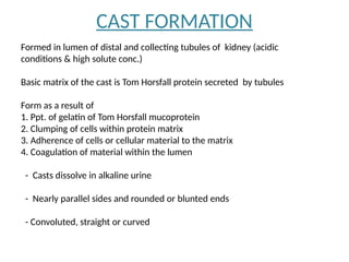 urine examination copy urine microscopy and physical findings.pptx
