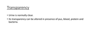 Urine Examination in paediatrics PPT.pptx
