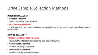 Urine Examination in paediatrics PPT.pptx