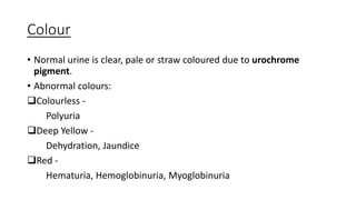 Urine Examination in paediatrics PPT.pptx
