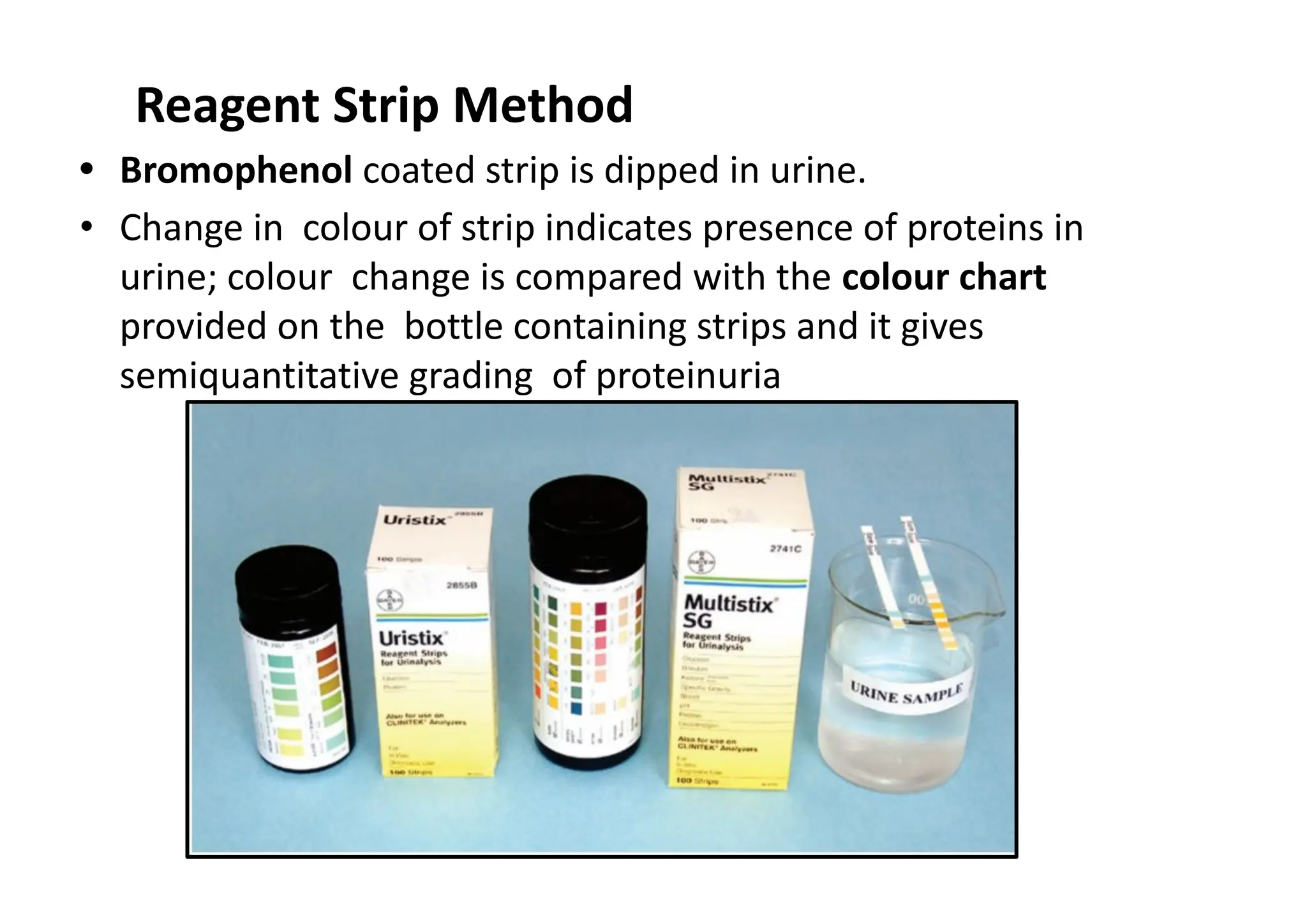 Urine Examination (Practical).pdf