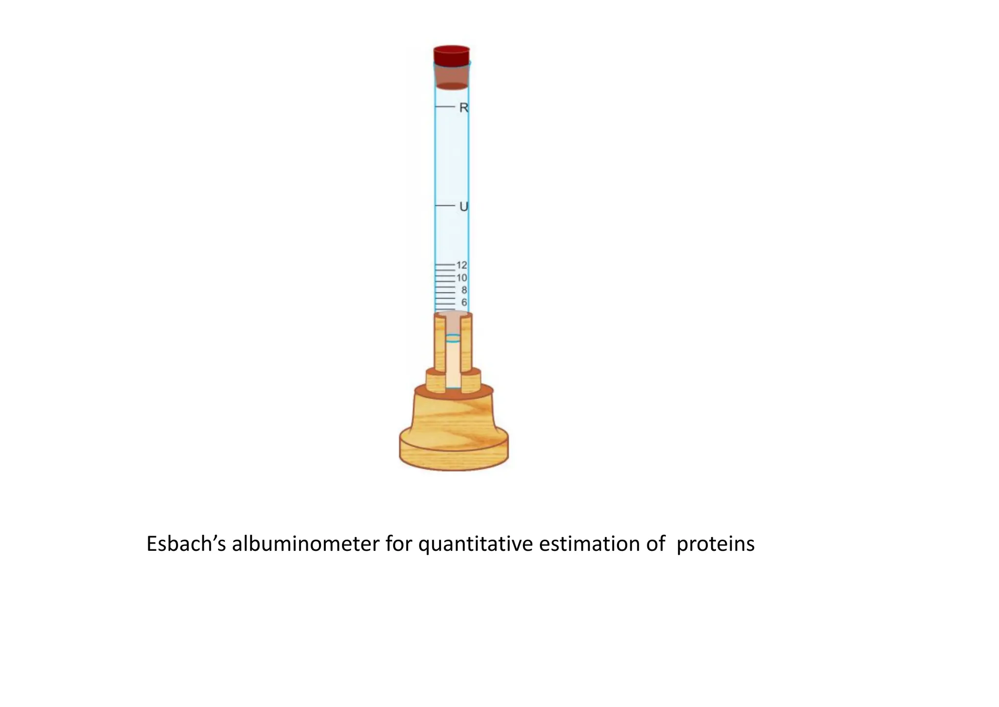 Urine Examination (Practical).pdf
