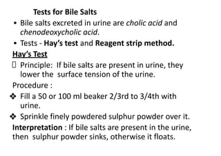 Urine Examination (Practical).pdf