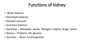 Examination of Urine - Biochemistry and Pathology for Science Students ...