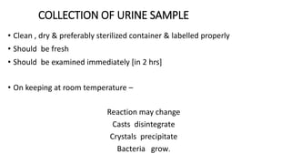 Examination of Urine - Biochemistry and Pathology for Science Students ...