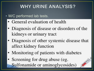 URINE EXAMINATION RENAL DISEASES.pptx