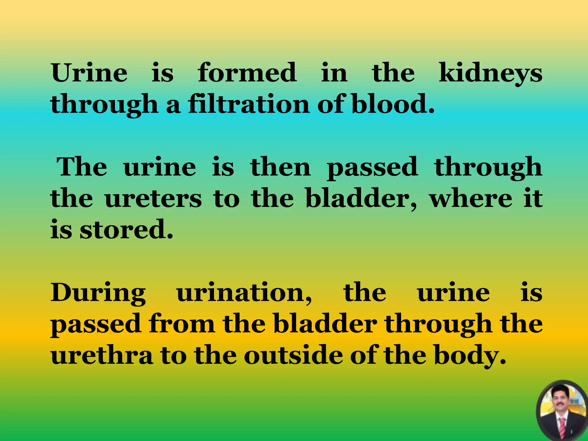 Urine formation | PPTX