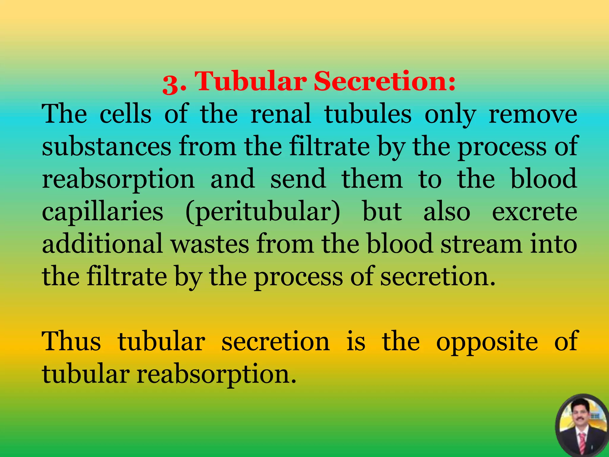 Urine formation | PPTX