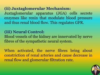 Urine formation | PPTX