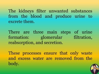 Urine formation | PPTX