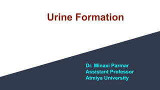 Urine formation | PDF