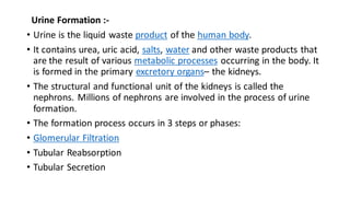 URINE FORMATION.pdf