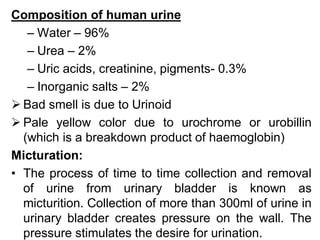 Mechanism of Urine formation in human beings.pdf