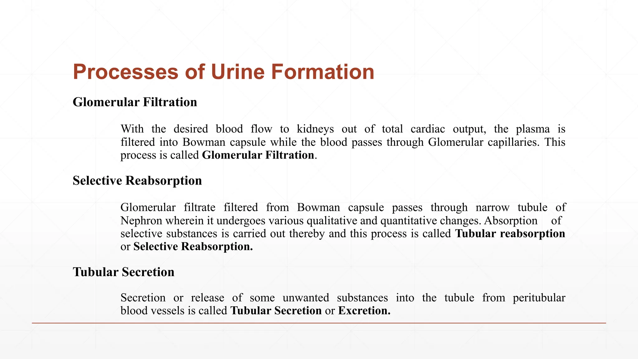 STUDY OF BASIC FUNDAMENTALS OF URINE FORMATION PHYSIOLOGY.pptx