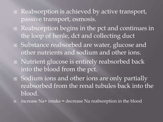 Urine formation in anatomy and physiology | PPTX