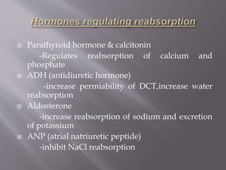 Urine formation in anatomy and physiology | PPTX