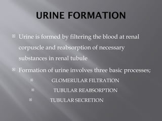 urineformation-240404053311-8dd159d9 (2).pptx