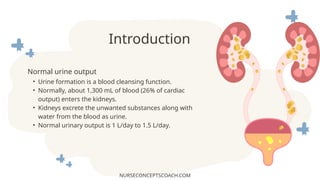 Urine formation- physiology lectures ppt | PPTX