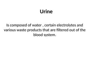 urine formation.pptx, processes, steps, urinary system | PPTX
