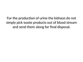 urine formation.pptx, processes, steps, urinary system | PPTX
