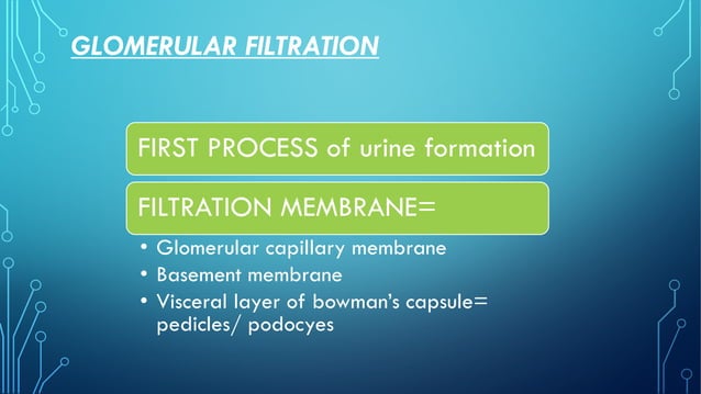 Urine formation renal physiology | PPT
