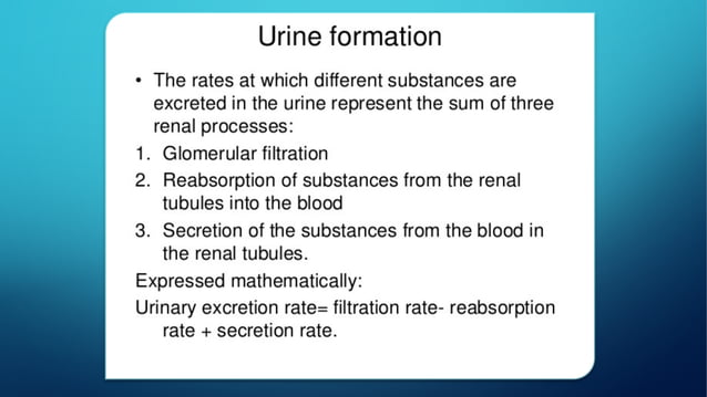 Urine formation renal physiology | PPT