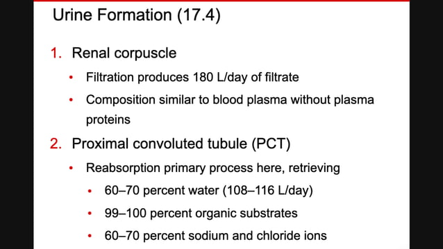 Urine formation renal physiology | PPT