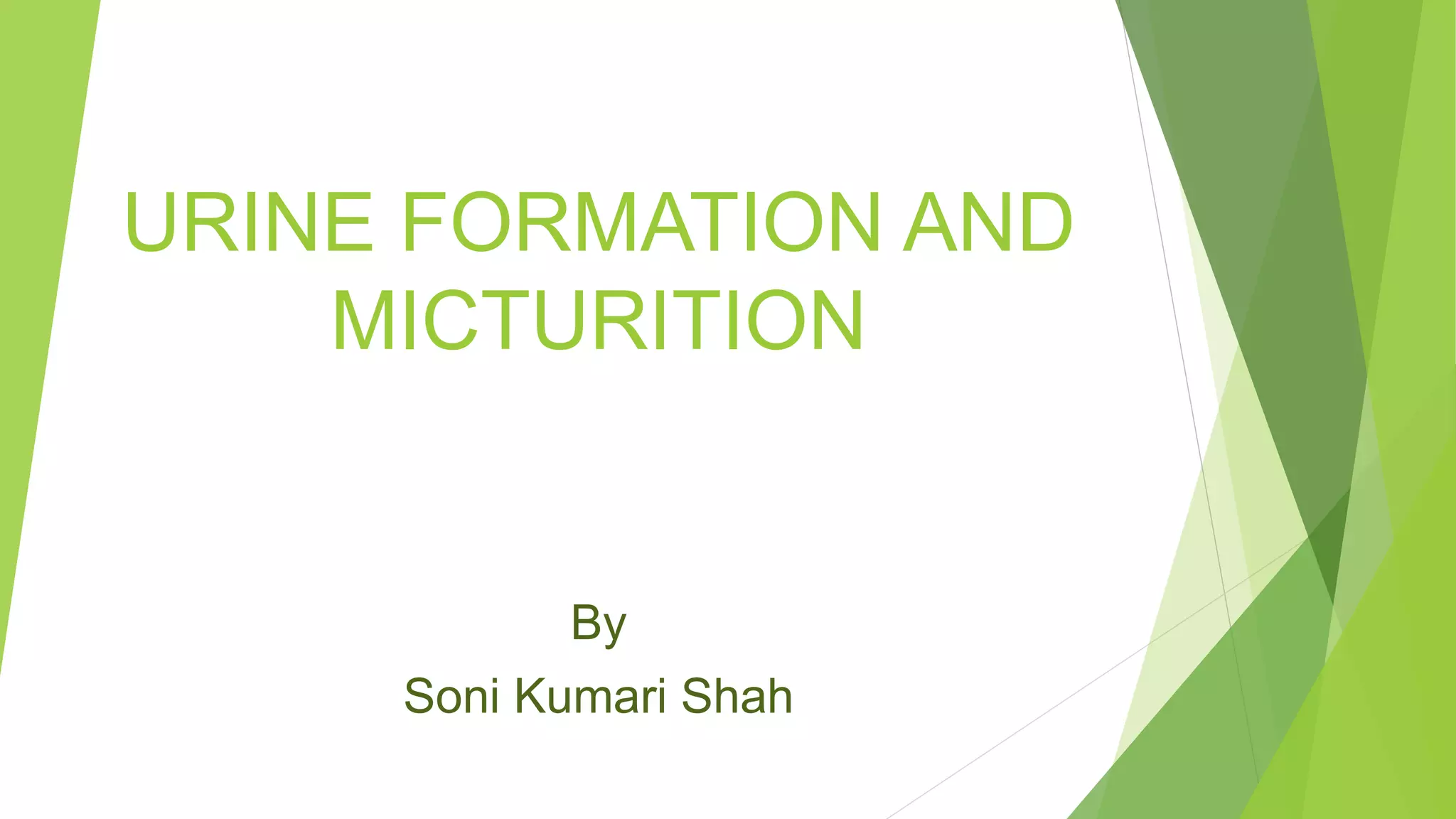 Urine formation and micturition | PPTX