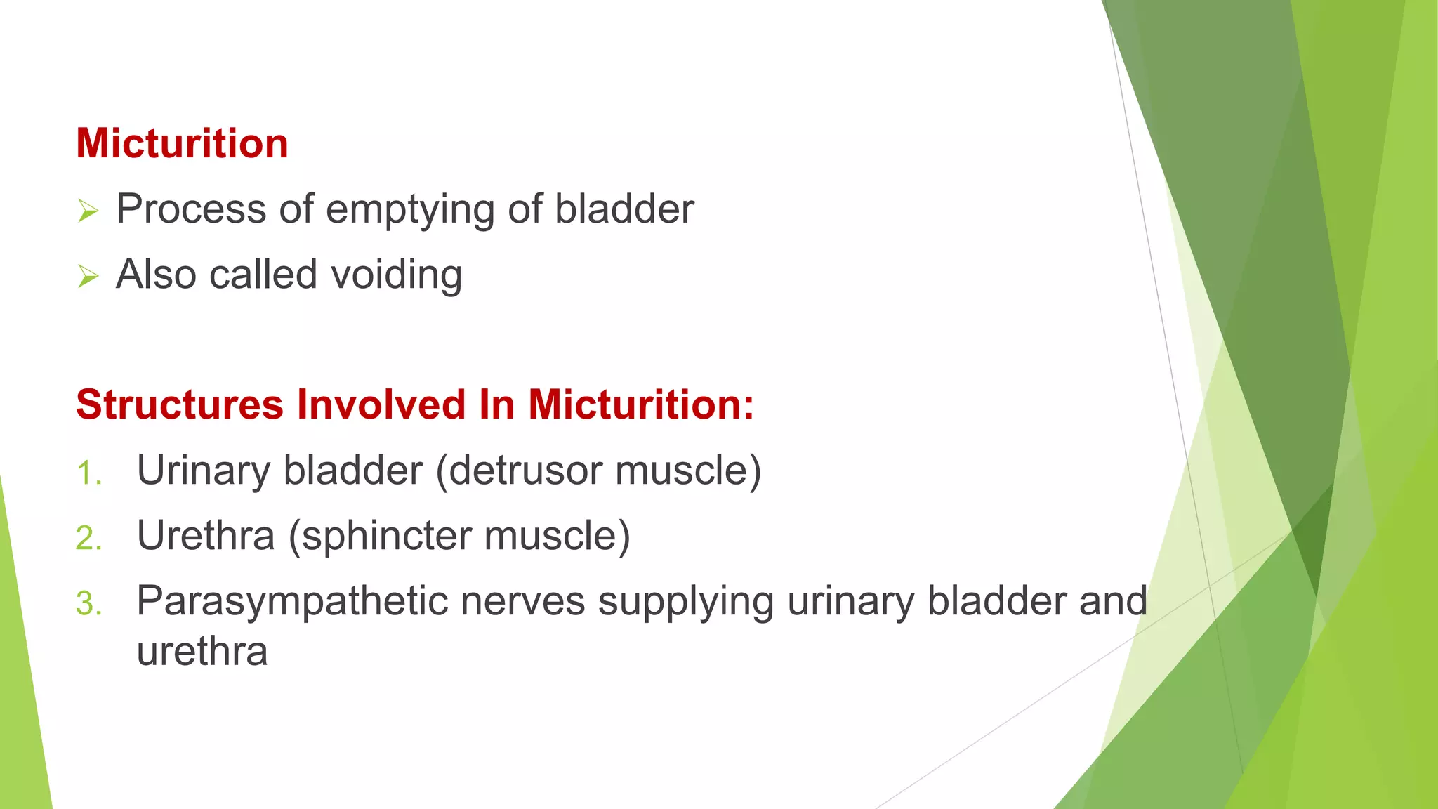 Urine formation and micturition | PPTX