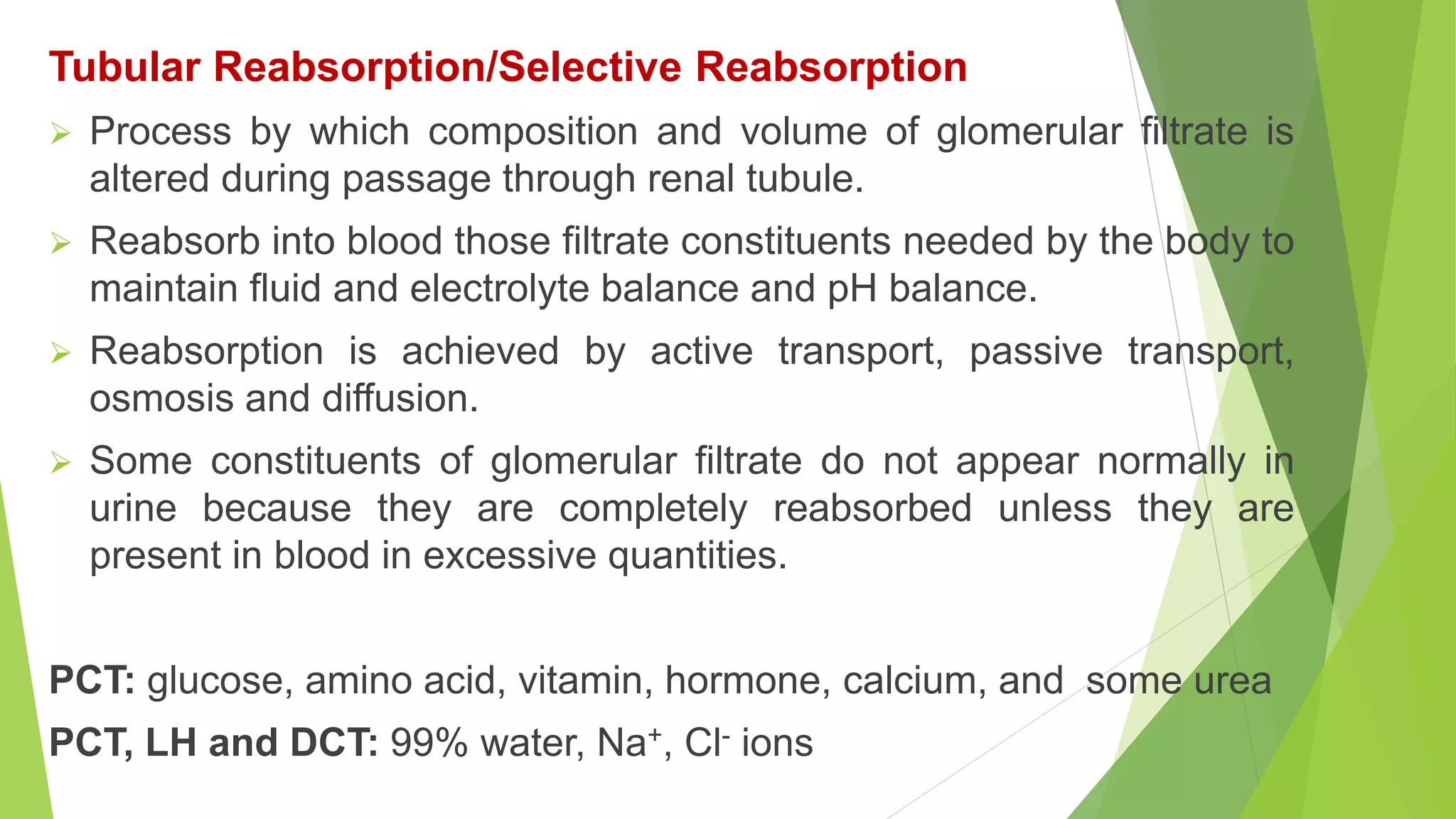 Urine formation and micturition | PPTX