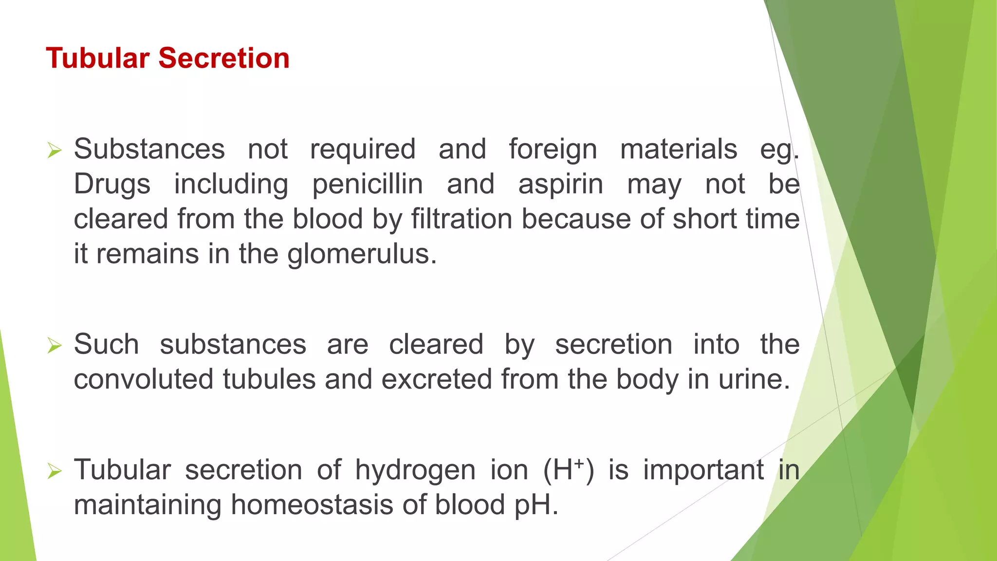 Urine formation and micturition | PPTX