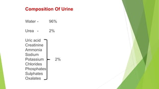 Urine formation and micturition | PPTX