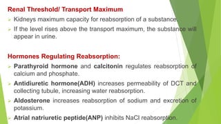 Urine formation and micturition | PPTX