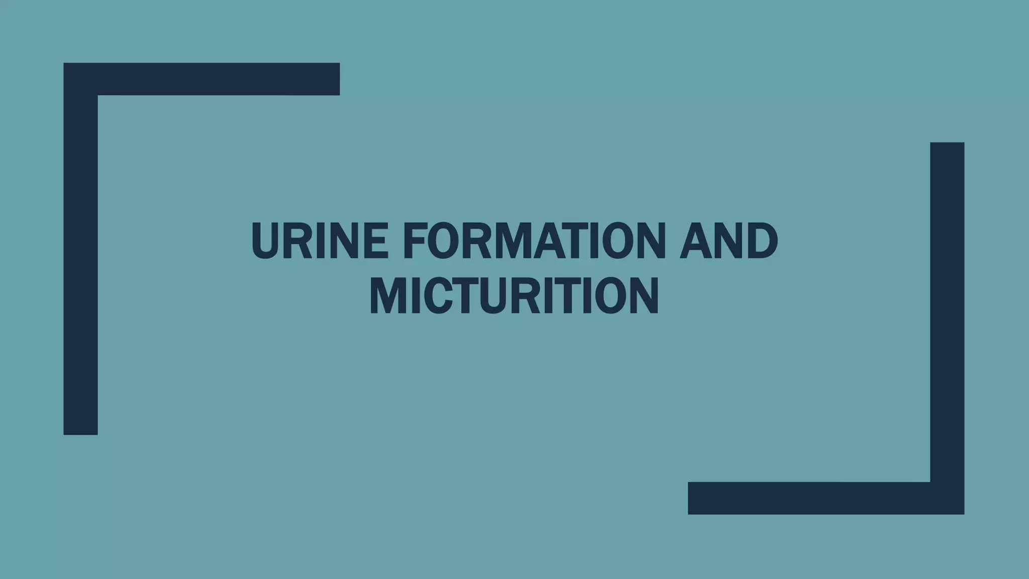 Urine formation and micturition.pptx