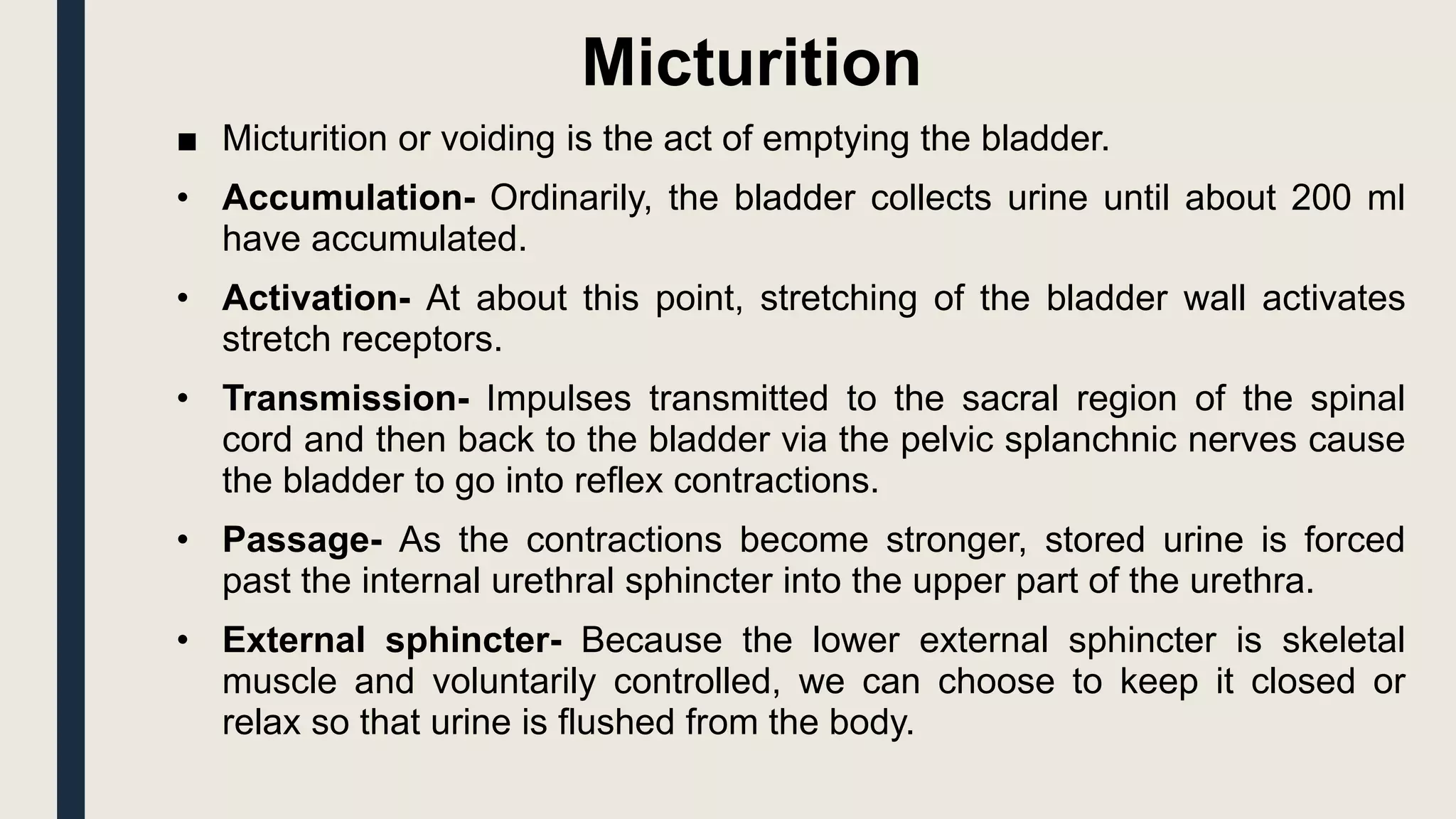 Urine formation and micturition.pptx