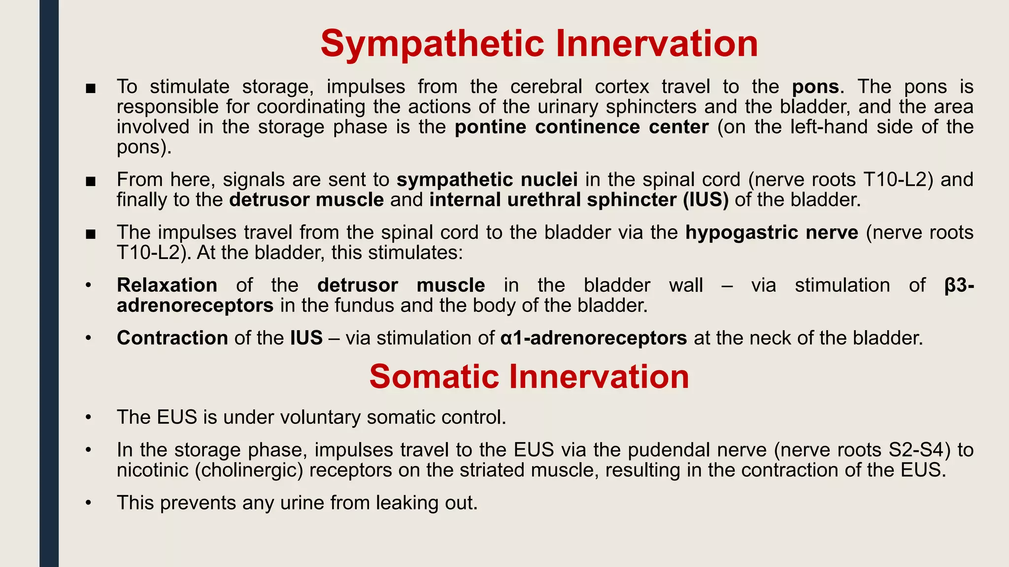 Urine formation and micturition.pptx