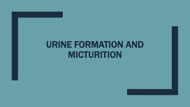 Urine formation and micturition.pptx