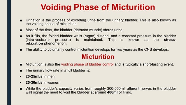 Urine formation and micturition.pptx