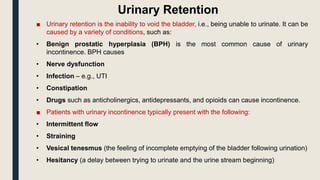 Urine formation and micturition.pptx