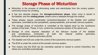 Urine formation and micturition.pptx