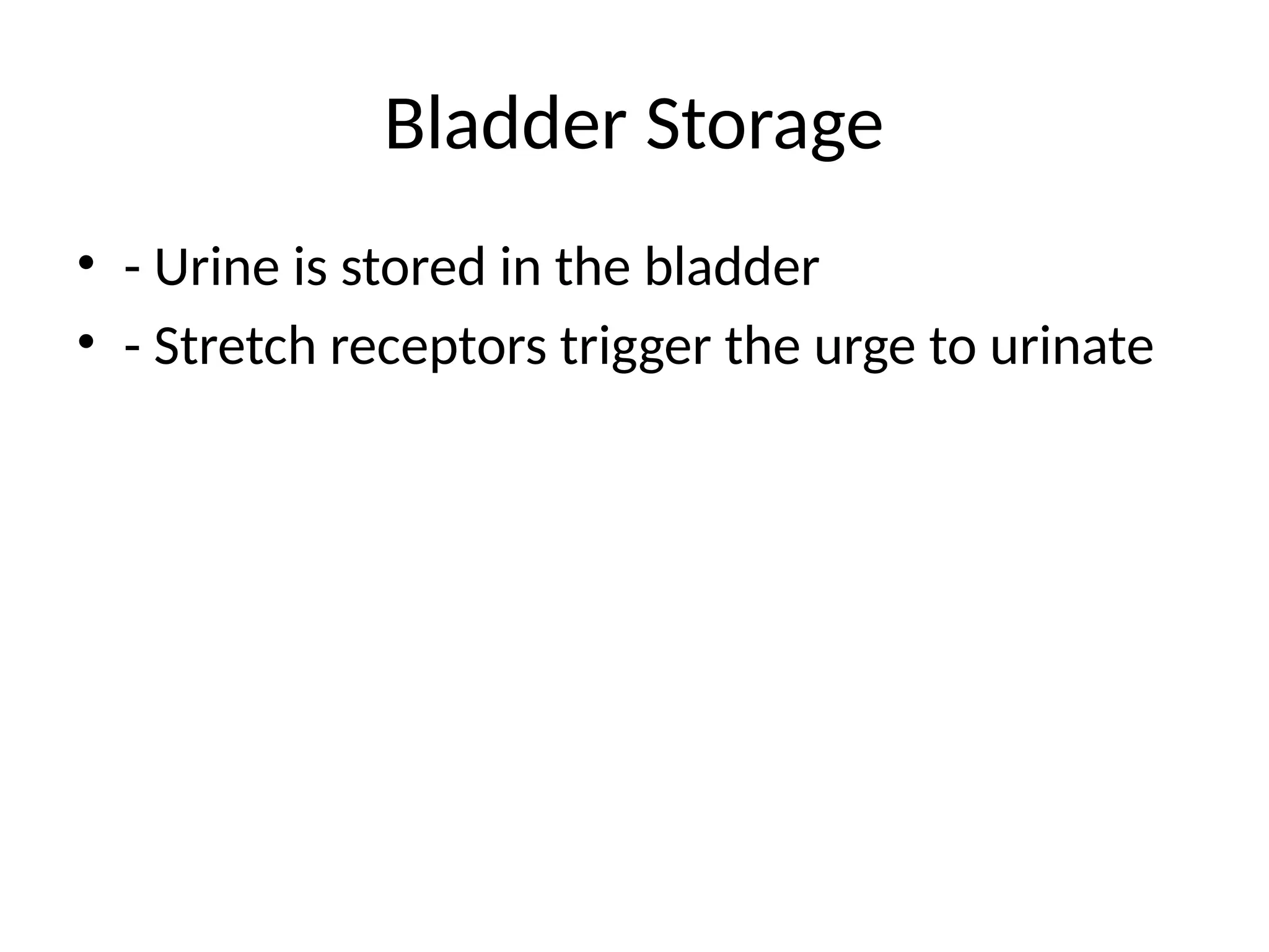 Urine_Formation_Elimination_Presentation.pptx