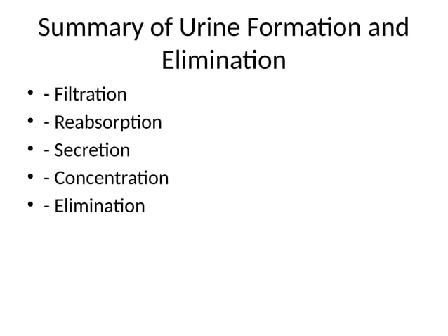 Urine_Formation_Elimination_Presentation.pptx